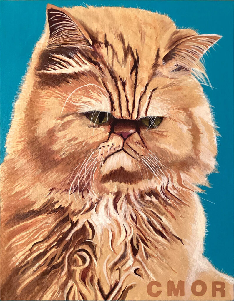 Grumpy Cat (Art Print) – Occupy Wallets